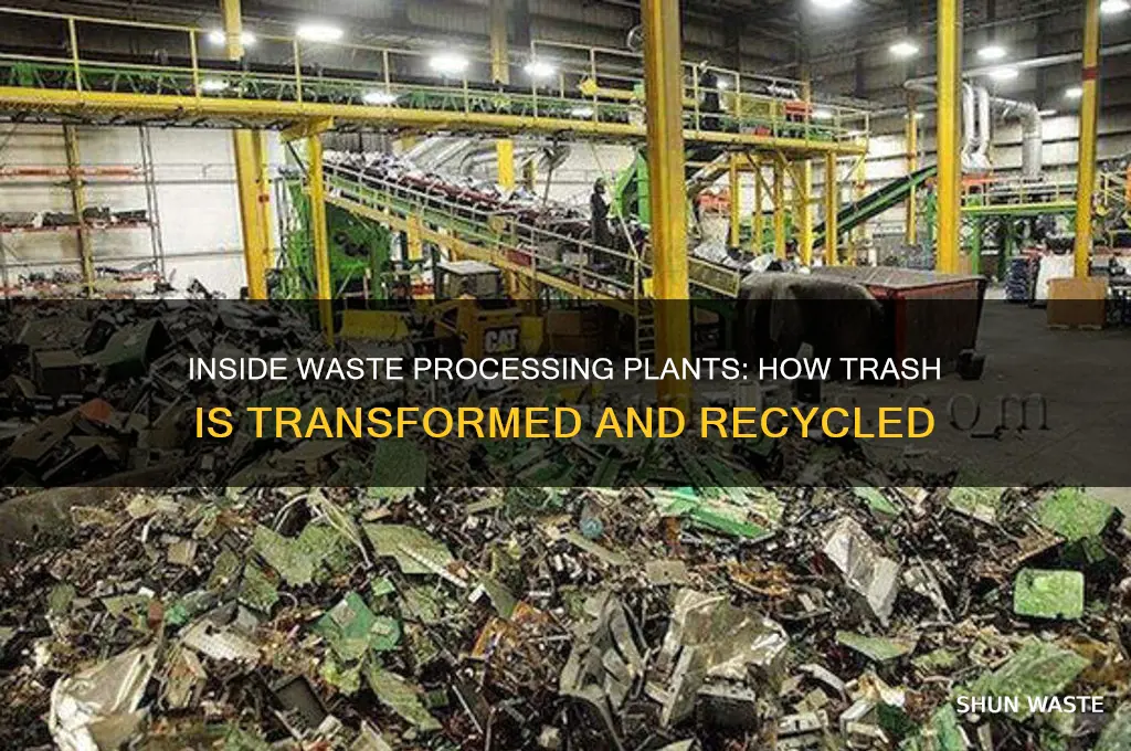 Inside Waste Processing Plants: How Trash Is Transformed And Recycled ...