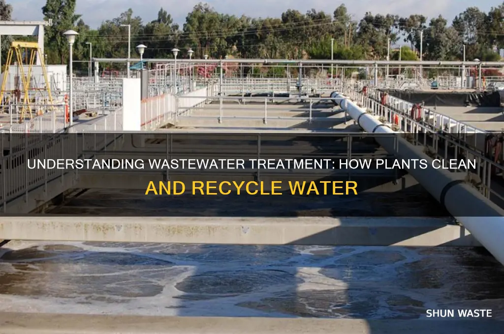 Understanding Wastewater Treatment: How Plants Clean And Recycle Water ...