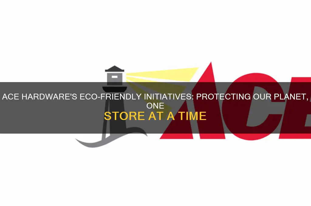 Ace Hardware's Eco-Friendly Initiatives: Protecting Our Planet, One ...