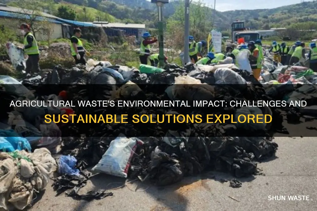 Agricultural Waste's Environmental Impact: Challenges And Sustainable ...