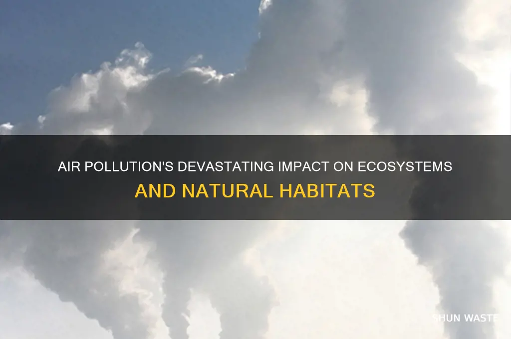 Air Pollution's Devastating Impact On Ecosystems And Natural Habitats ...