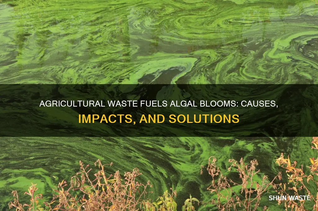 Agricultural Waste Fuels Algal Blooms: Causes, Impacts, And Solutions ...