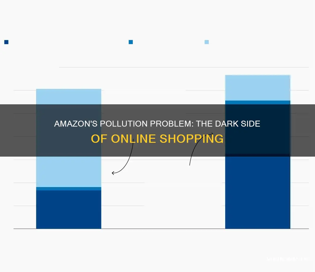 Amazon's Pollution Problem: The Dark Side Of Online Shopping | ShunWaste