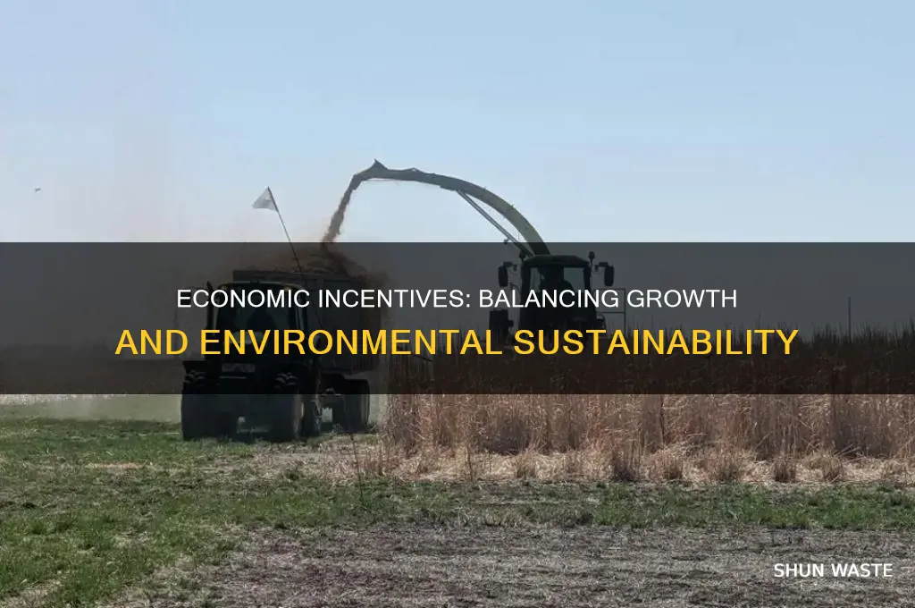 Economic Incentives: Balancing Growth And Environmental Sustainability ...