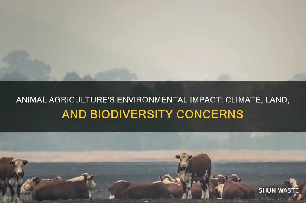 Animal Agriculture's Environmental Impact: Climate, Land, And ...