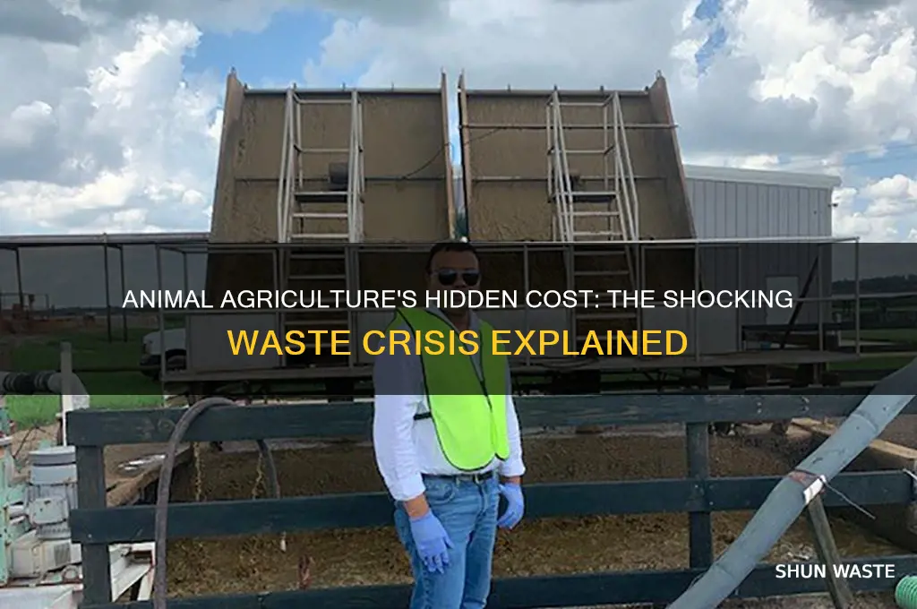 Animal Agriculture's Hidden Cost: The Shocking Waste Crisis Explained ...