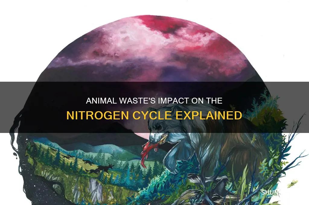 Animal Waste's Impact On The Nitrogen Cycle Explained | ShunWaste
