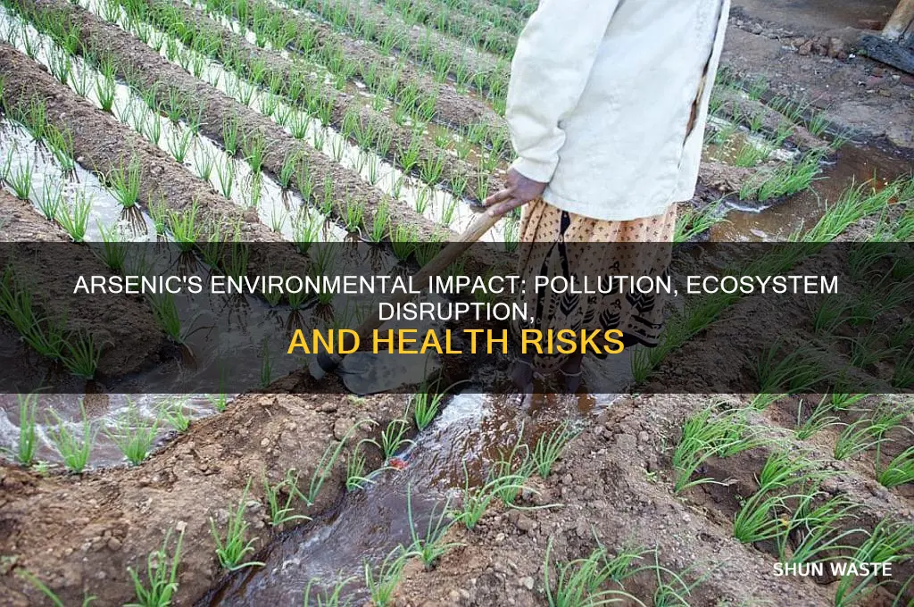 Arsenic's Environmental Impact: Pollution, Ecosystem Disruption, And ...