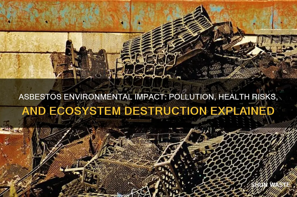 Asbestos Environmental Impact: Pollution, Health Risks, And Ecosystem ...
