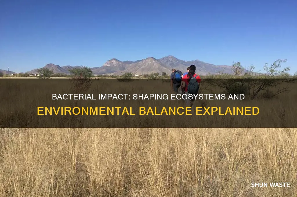 Bacterial Impact: Shaping Ecosystems And Environmental Balance ...
