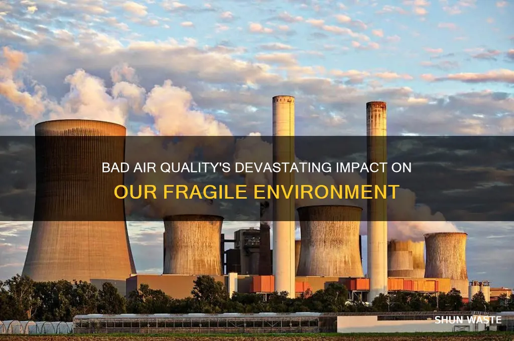 Bad Air Quality's Devastating Impact On Our Fragile Environment | ShunWaste