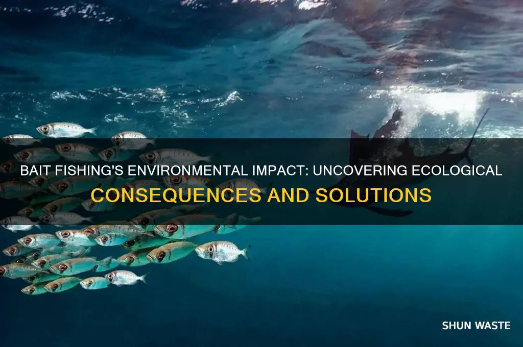 Bait Fishing's Environmental Impact: Uncovering Ecological Consequences ...