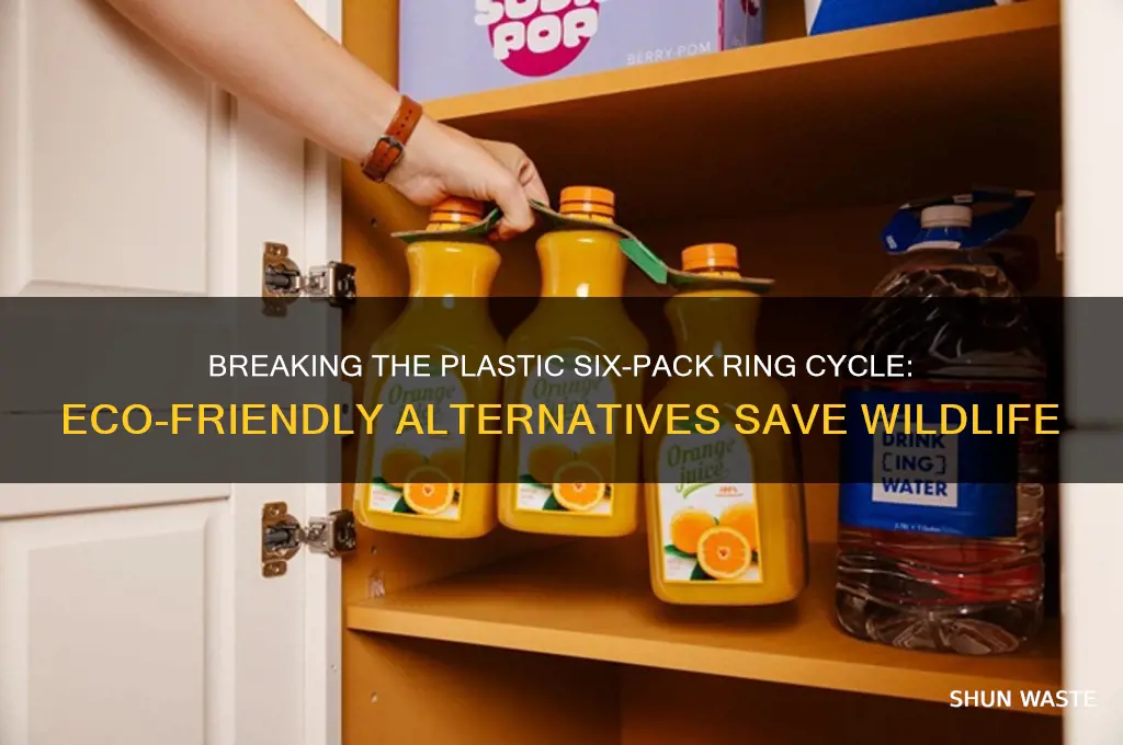Breaking The Plastic Six-Pack Ring Cycle: Eco-Friendly Alternatives ...