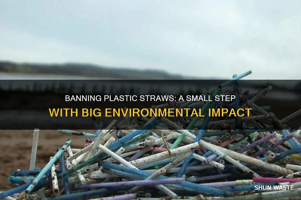 Banning Plastic Straws: A Small Step With Big Environmental Impact ...