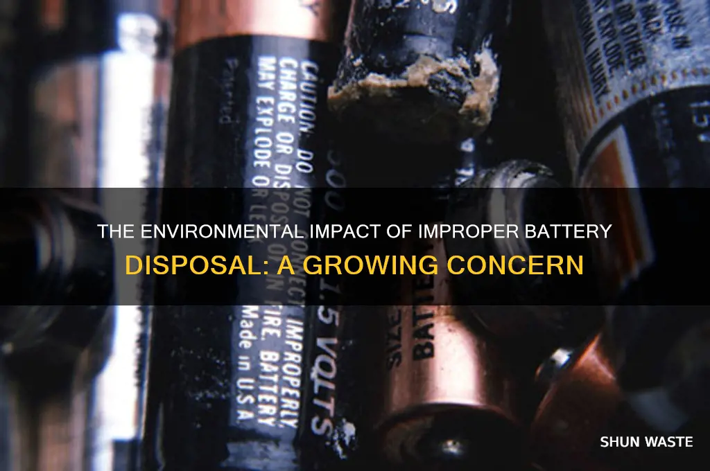 The Environmental Impact Of Improper Battery Disposal: A Growing ...