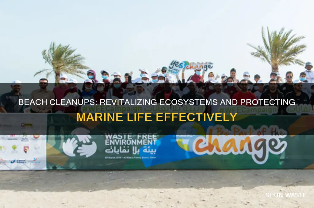Beach Cleanups: Revitalizing Ecosystems And Protecting Marine Life ...