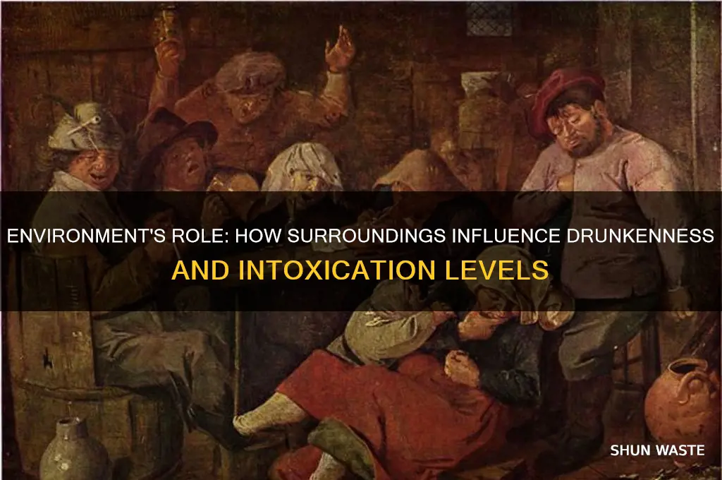 Environment's Role: How Surroundings Influence Drunkenness And ...