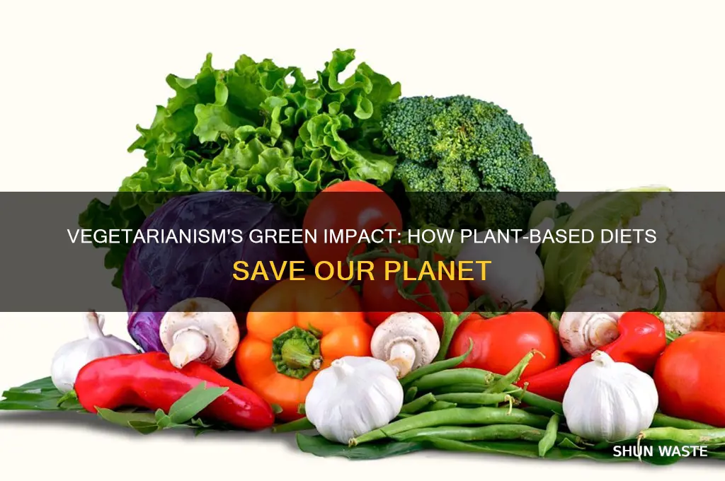 Vegetarianism's Green Impact: How Plant-Based Diets Save Our Planet ...