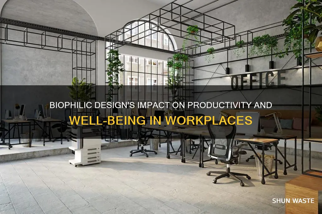 Biophilic Design's Impact On Productivity And Well-Being In Workplaces ...