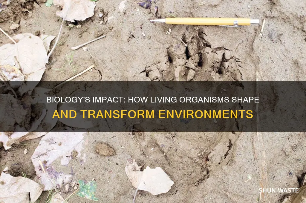 Biology's Impact: How Living Organisms Shape And Transform Environments ...