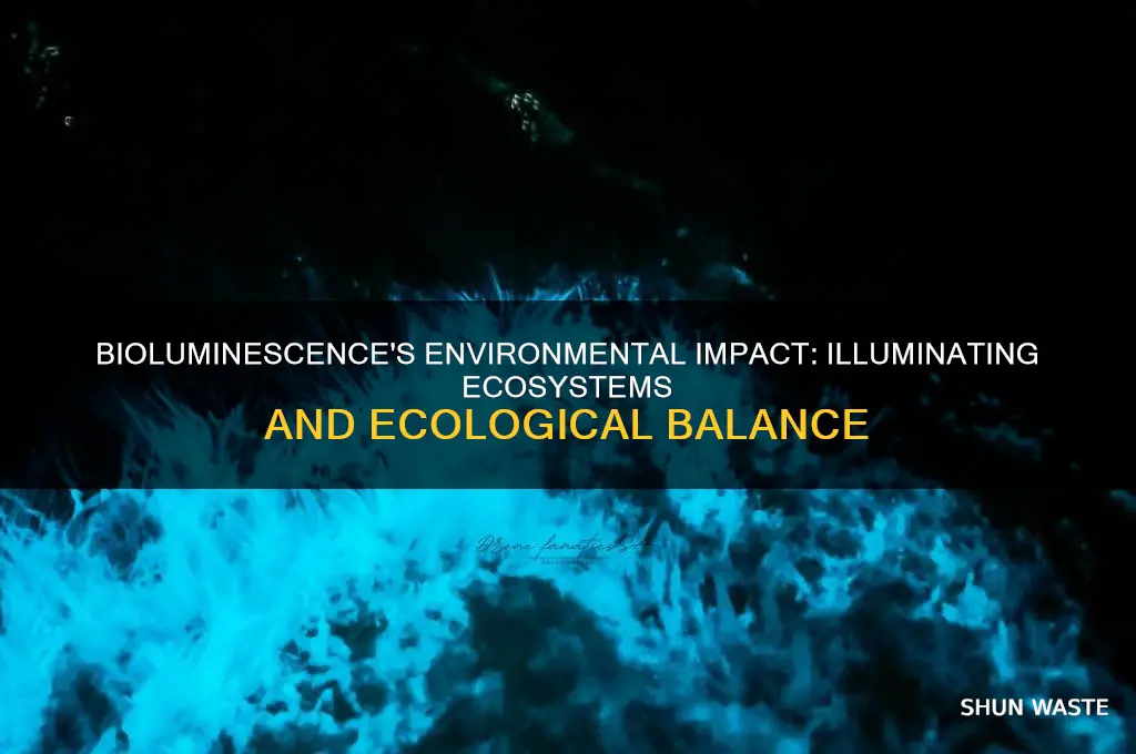 Bioluminescence's Environmental Impact: Illuminating Ecosystems And ...