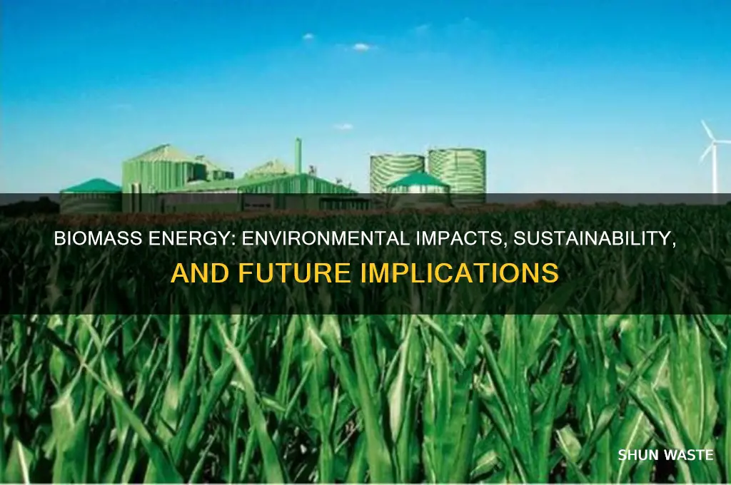 Biomass Energy: Environmental Impacts, Sustainability, And Future ...