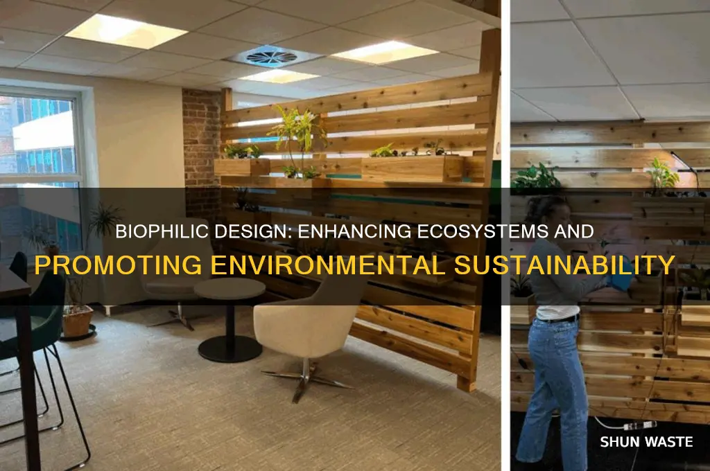 Biophilic Design: Enhancing Ecosystems And Promoting Environmental ...