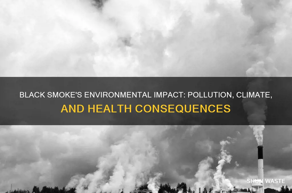Black Smoke's Environmental Impact: Pollution, Climate, And Health ...