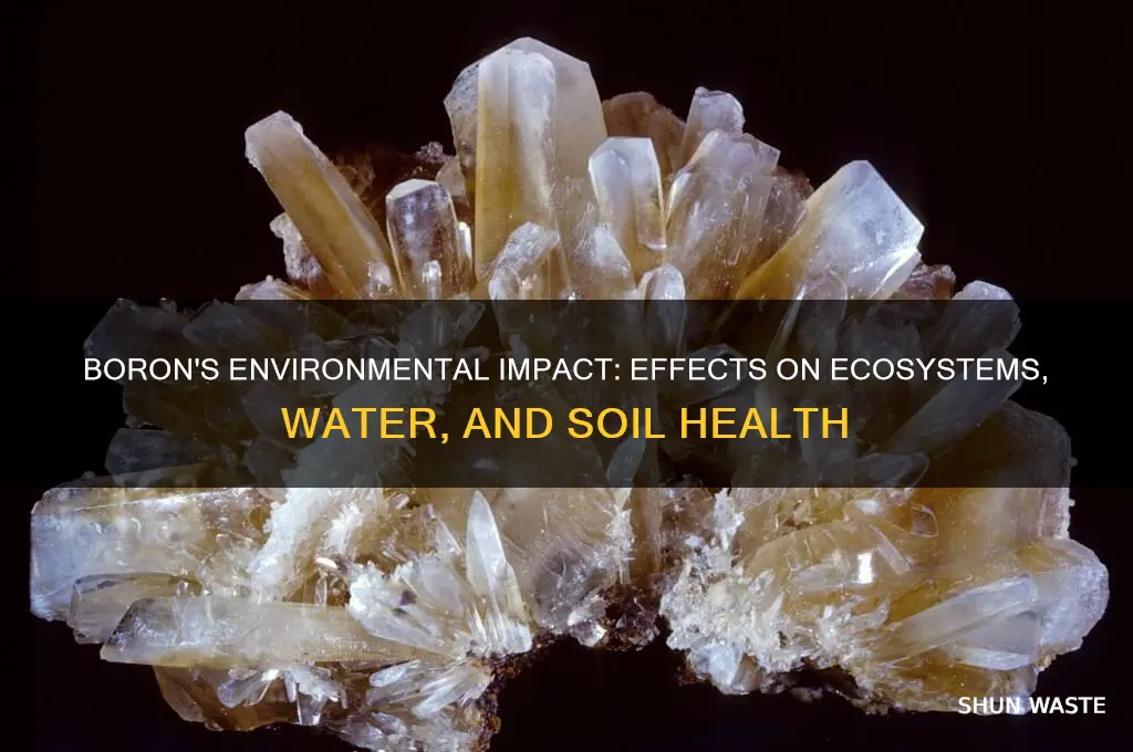 Boron's Environmental Impact: Effects On Ecosystems, Water, And Soil ...