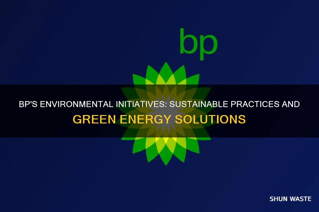 Bp's Environmental Initiatives: Sustainable Practices And Green Energy ...