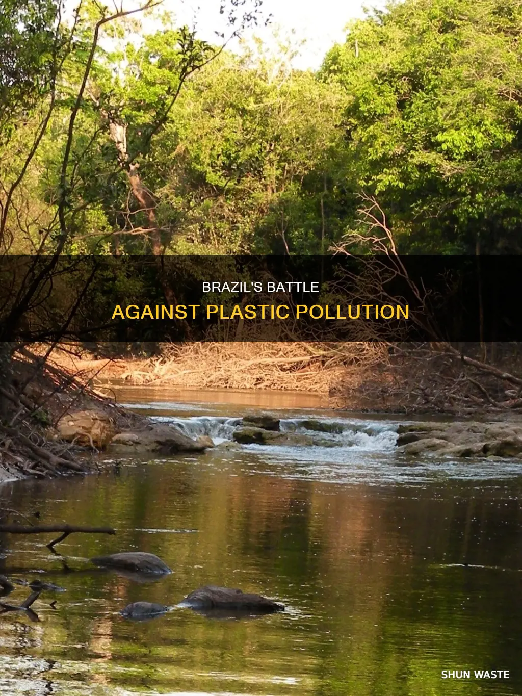 Brazil's Battle Against Plastic Pollution | ShunWaste