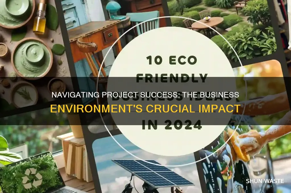 Navigating Project Success: The Business Environment's Crucial Impact ...