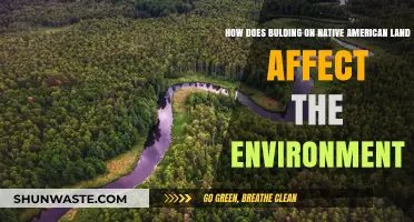 Burning Tires: Environmental Impact, Pollution, And Long-Term ...