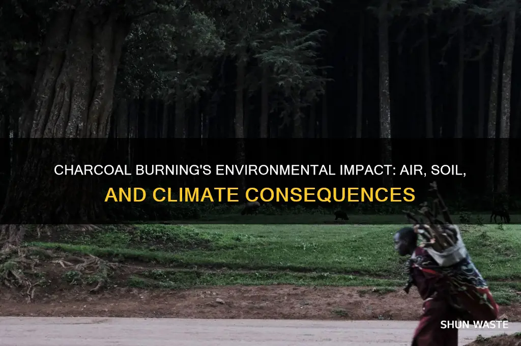 Charcoal Burning's Environmental Impact: Air, Soil, And Climate ...