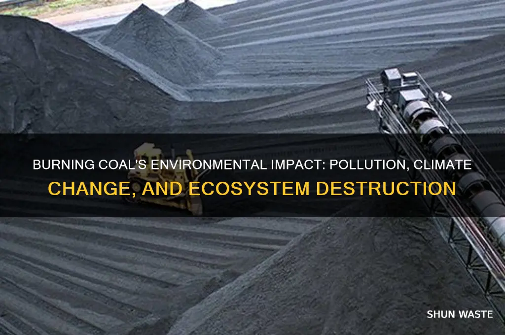 Burning Coal's Environmental Impact: Pollution, Climate Change, And ...