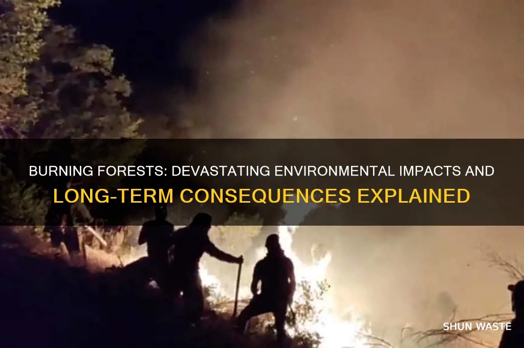 Burning Forests: Devastating Environmental Impacts And Long-Term ...