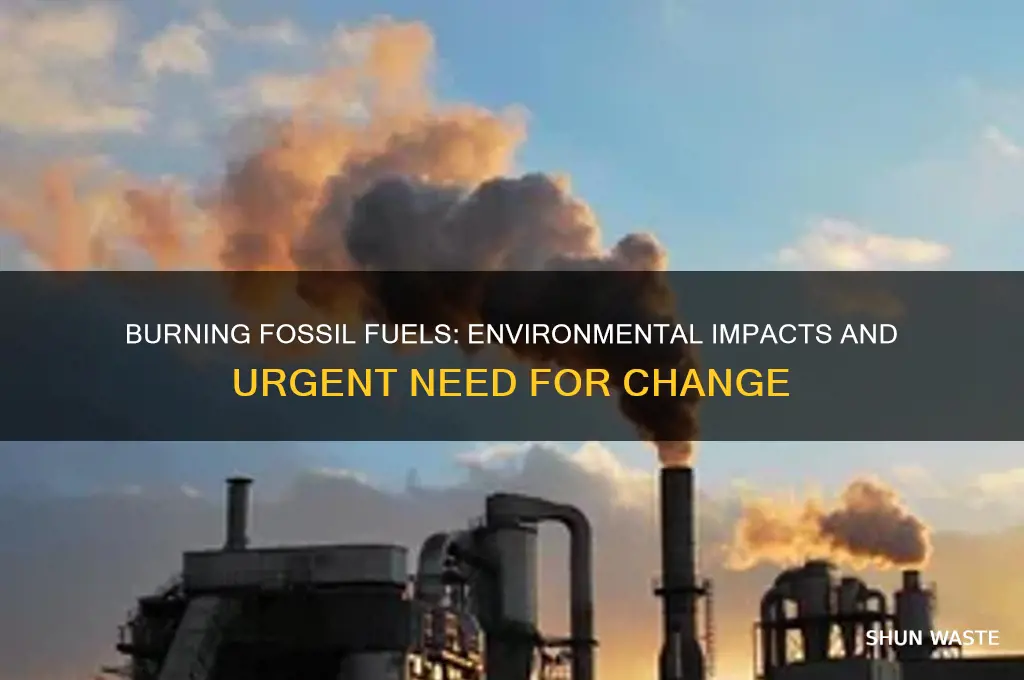 Burning Fossil Fuels: Environmental Impacts And Urgent Need For Change ...