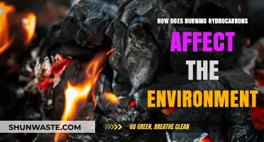 Burning Tires: Environmental Impact, Pollution, And Long-Term ...