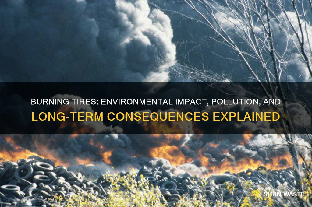 Burning Tires: Environmental Impact, Pollution, And Long-Term ...
