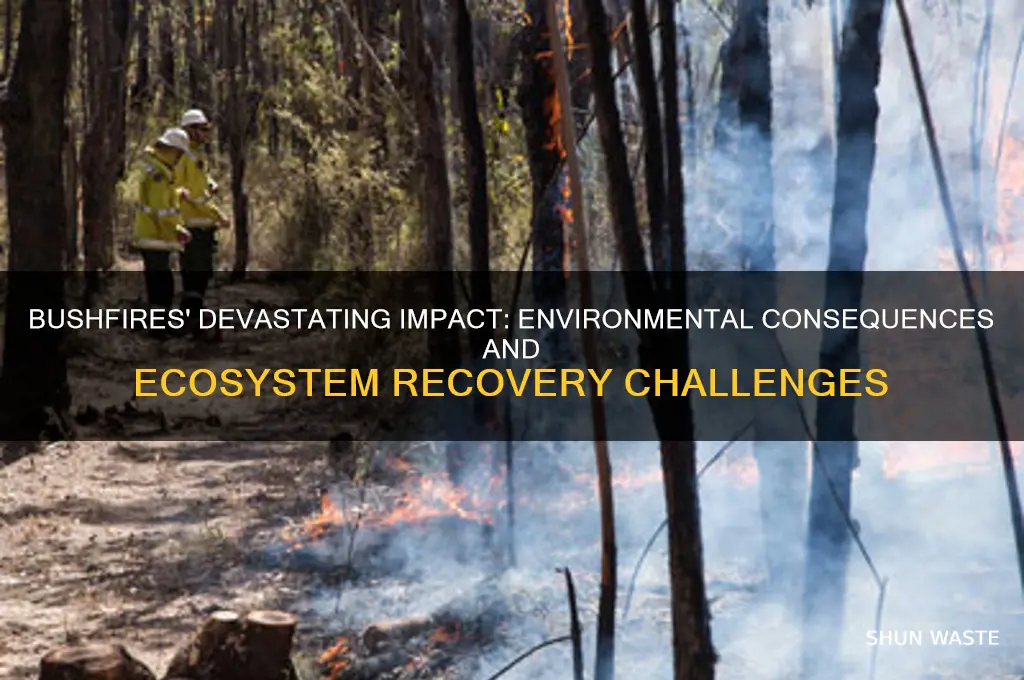 Bushfires' Devastating Impact: Environmental Consequences And Ecosystem ...
