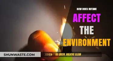 Burning Alkanes: Environmental Impacts And Sustainable Alternatives ...