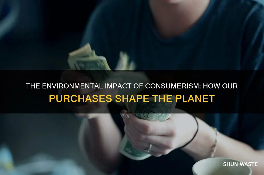 The Environmental Impact Of Consumerism: How Our Purchases Shape The ...