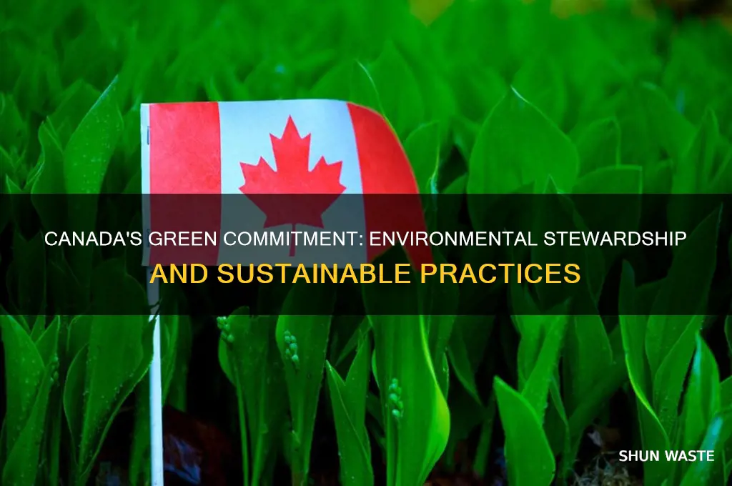 Canada's Green Commitment: Environmental Stewardship And Sustainable ...