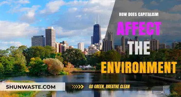 Calcium's Environmental Impact: Effects On Ecosystems And Natural ...
