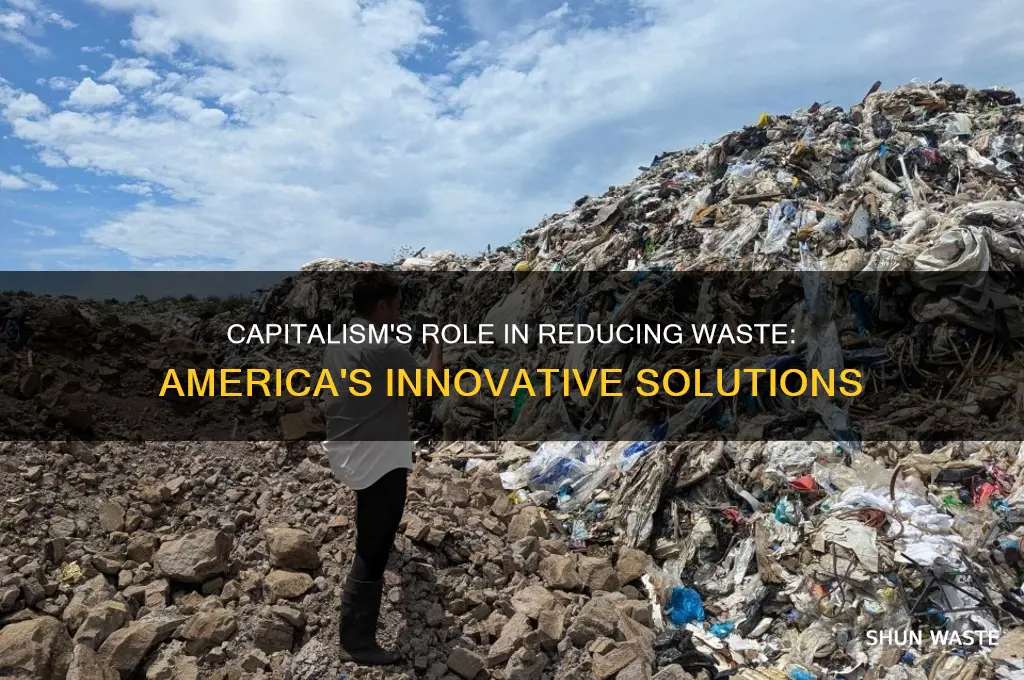Capitalism's Role In Reducing Waste: America's Innovative Solutions ...