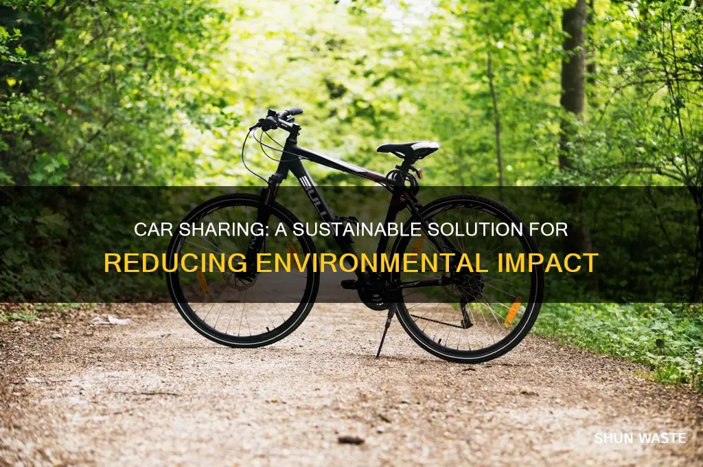 Car Sharing: A Sustainable Solution For Reducing Environmental Impact ...