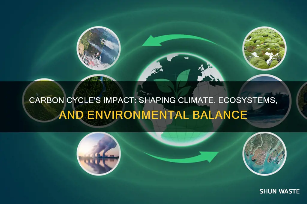 Carbon Cycle's Impact: Shaping Climate, Ecosystems, And Environmental ...