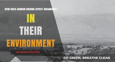 Capitalism's Environmental Impact: A Deep Dive Into Ecological ...