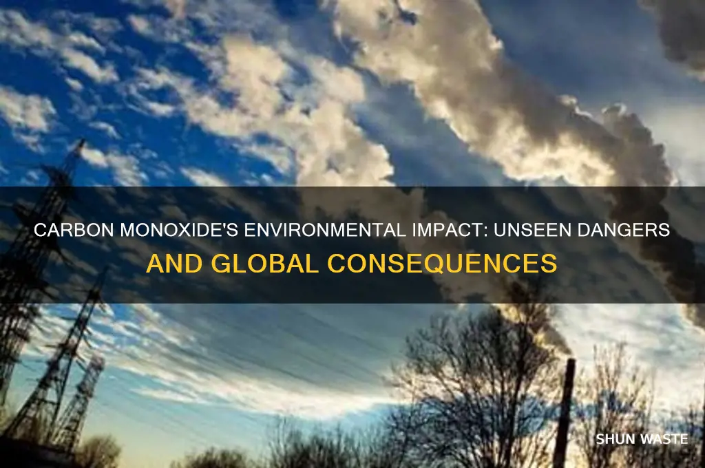 Carbon Monoxide's Environmental Impact: Unseen Dangers And Global ...