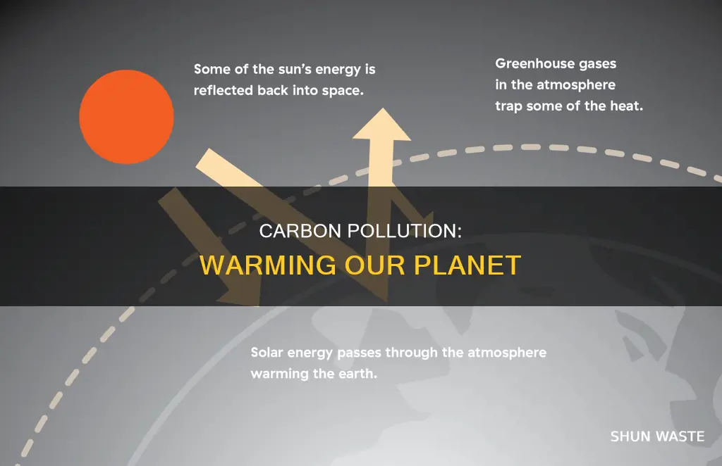 Carbon Pollution: Warming Our Planet | ShunWaste